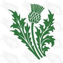 Scottish Thistle Sticker - Vinyl Cut Graphics UK, Signs and Decals